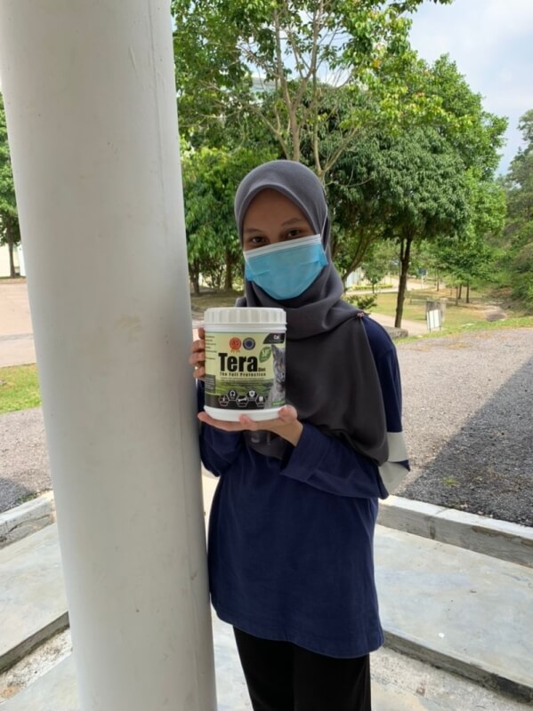 Tera formulated- Insect based protein cat supplement diet